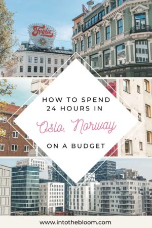 How to Spend 24 Hours in Oslo on a Budget - Into the Bloom