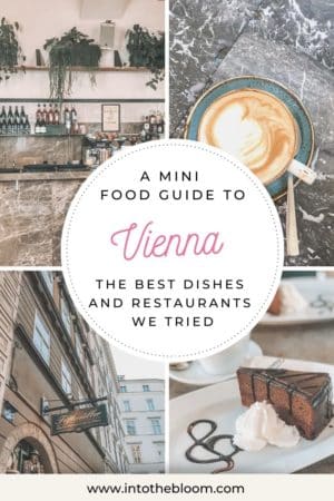 Vienna Food Guide: The Best Dishes and Restaurants to Try in Vienna ...