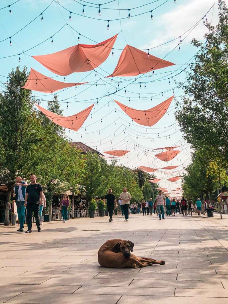 Exploring Pristina: Best Things to Do and See in Kosovo's Capital ...