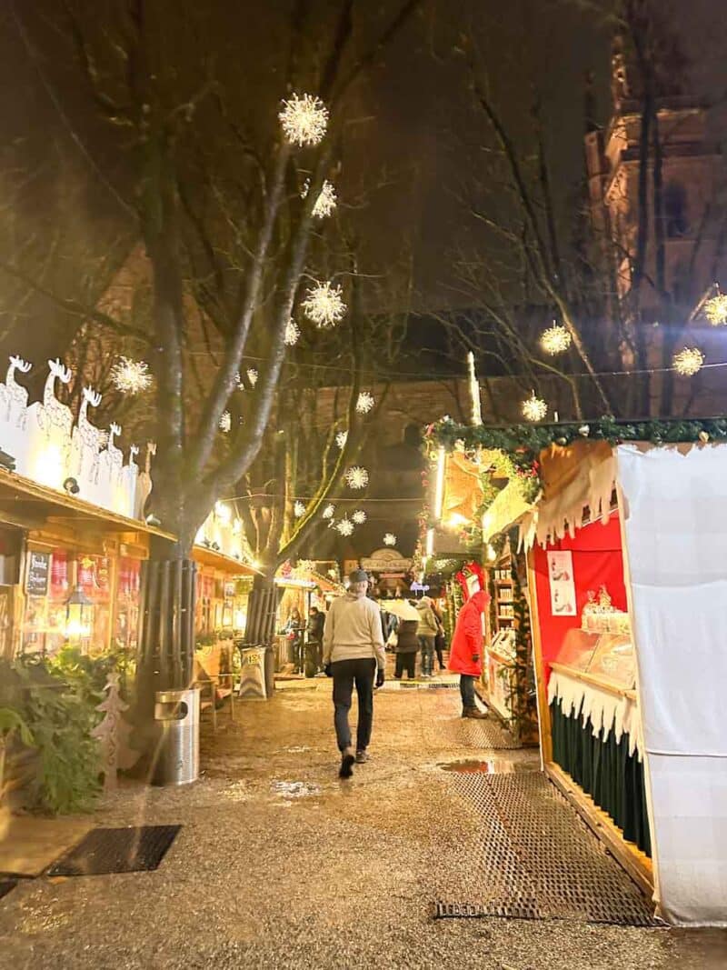 The Ultimate Guide to the Basel Christmas Markets 2025 - Into the Bloom