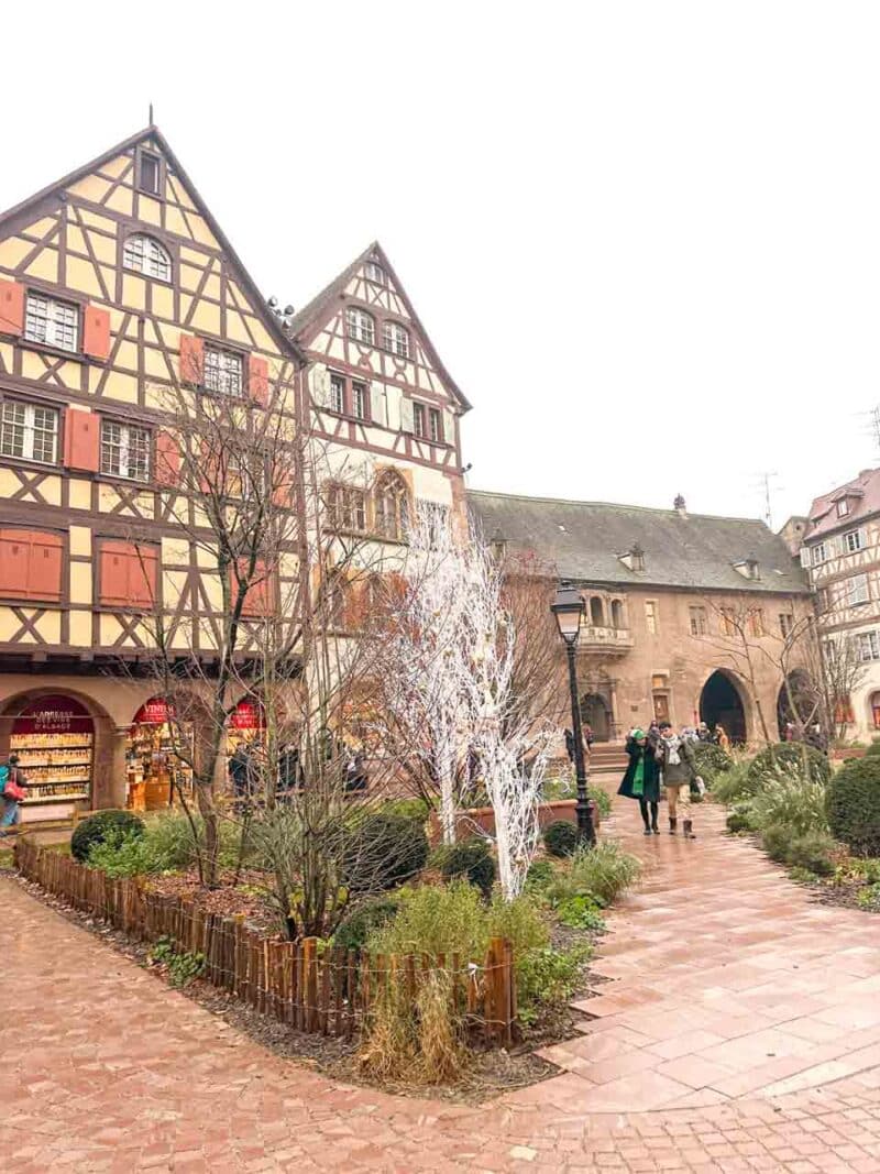 A Detailed Guide to the Colmar Christmas Markets (2025) - Into the Bloom