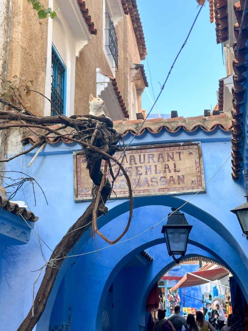 The Most Instagrammable Places in Chefchaouen (+ Map) - Into the Bloom