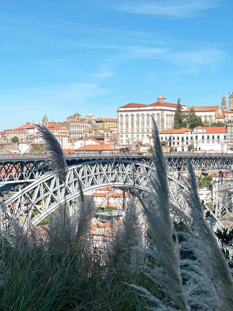 Best Things to Do, See, and Eat in Porto: The Ultimate Guide - Into the ...