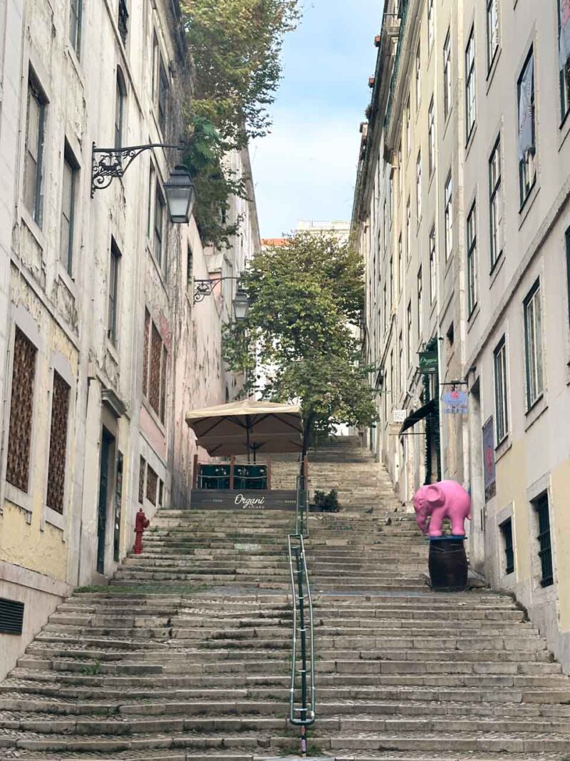 Lisbon Travel Guide: Best Things to Do, See, and Eat - Into the Bloom